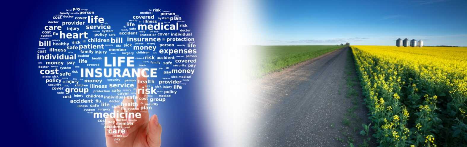 Life Insurance How Does It Work | Harvard Western Insurance